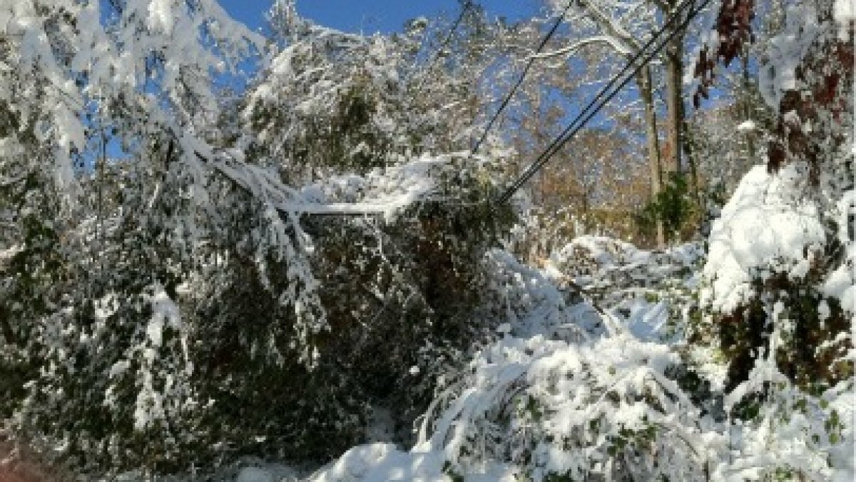 Look Back at 2011 October Snowstorm – NBC Connecticut