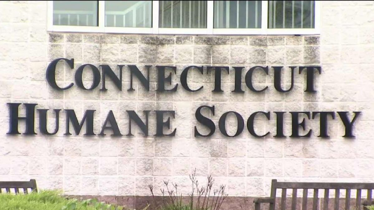 CT Humane Society: new Wilton resource center to open next fall – NBC ...
