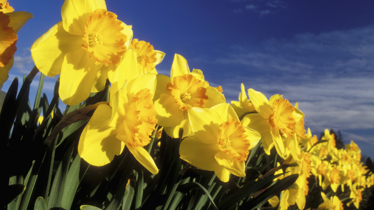 A Look at Weather in April – NBC Connecticut