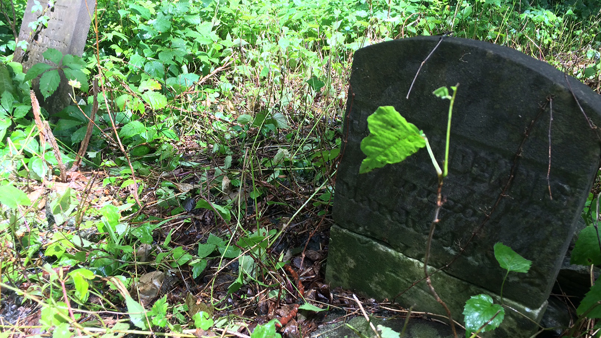 Neglected Cemeteries: Who’s Responsible? – NBC Connecticut