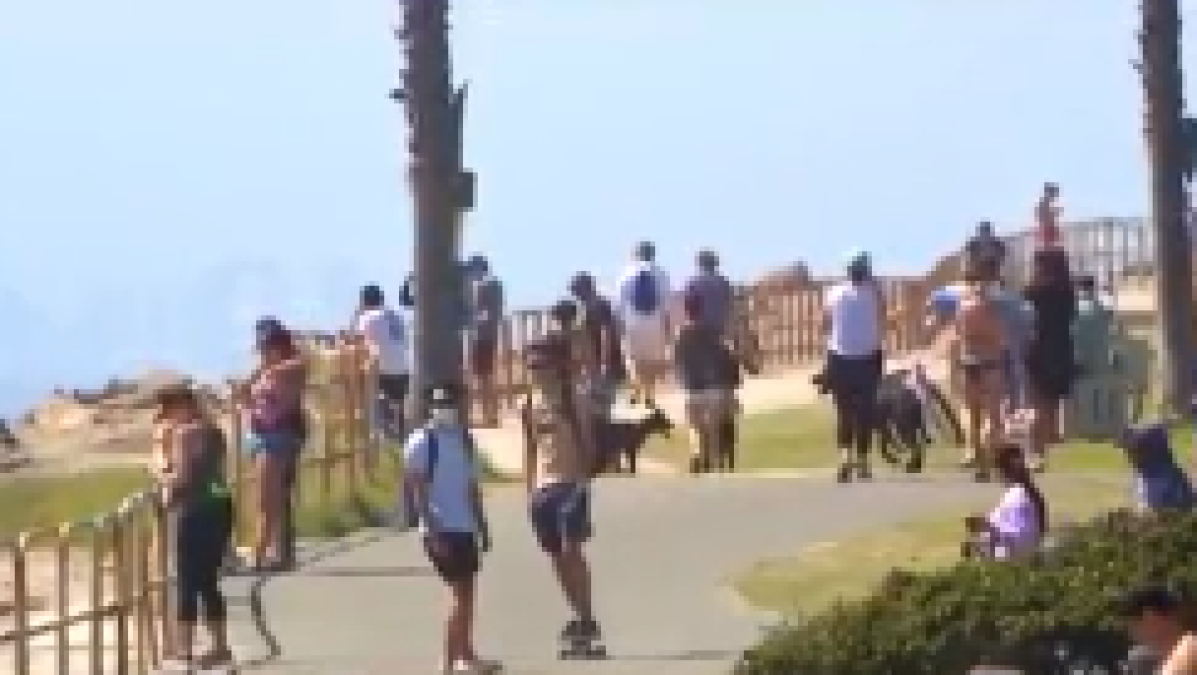 Protests Happening in Huntington Beach Over Beach Closures – NBC ...