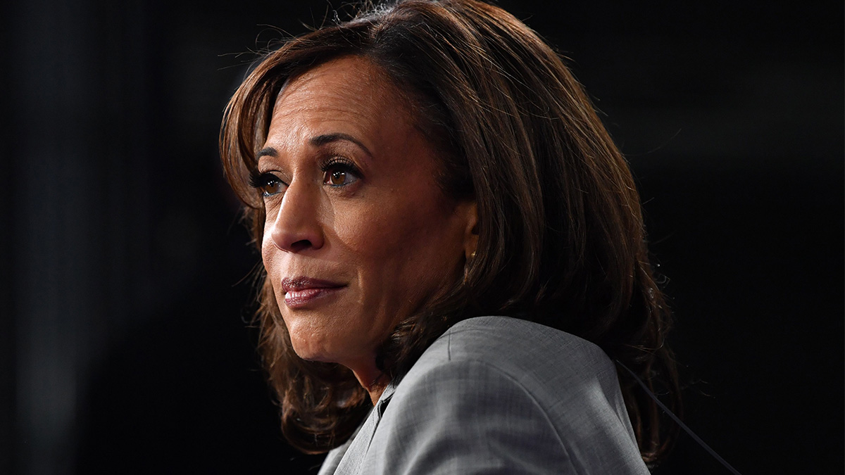 Harris VP Pick Creates Dilemma for Trump Campaign, Which Lobs ...