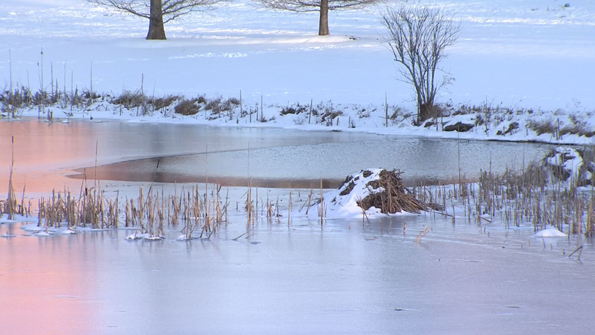 UConn Student Dies After Being Pulled From Lake on Storrs Campus – NBC ...