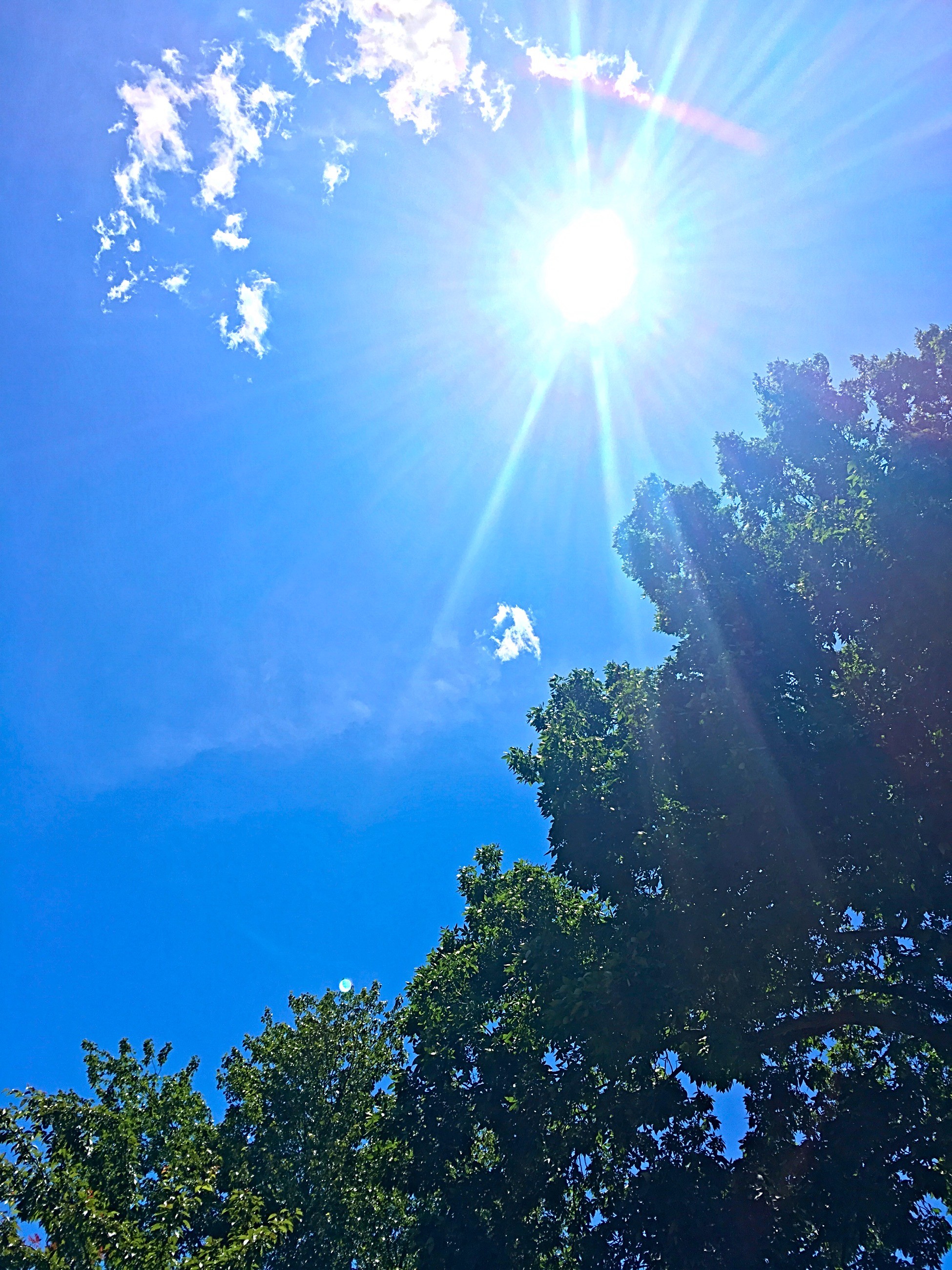 Summer Heat Poses Health Concerns When Wearing Face Coverings – NBC ...