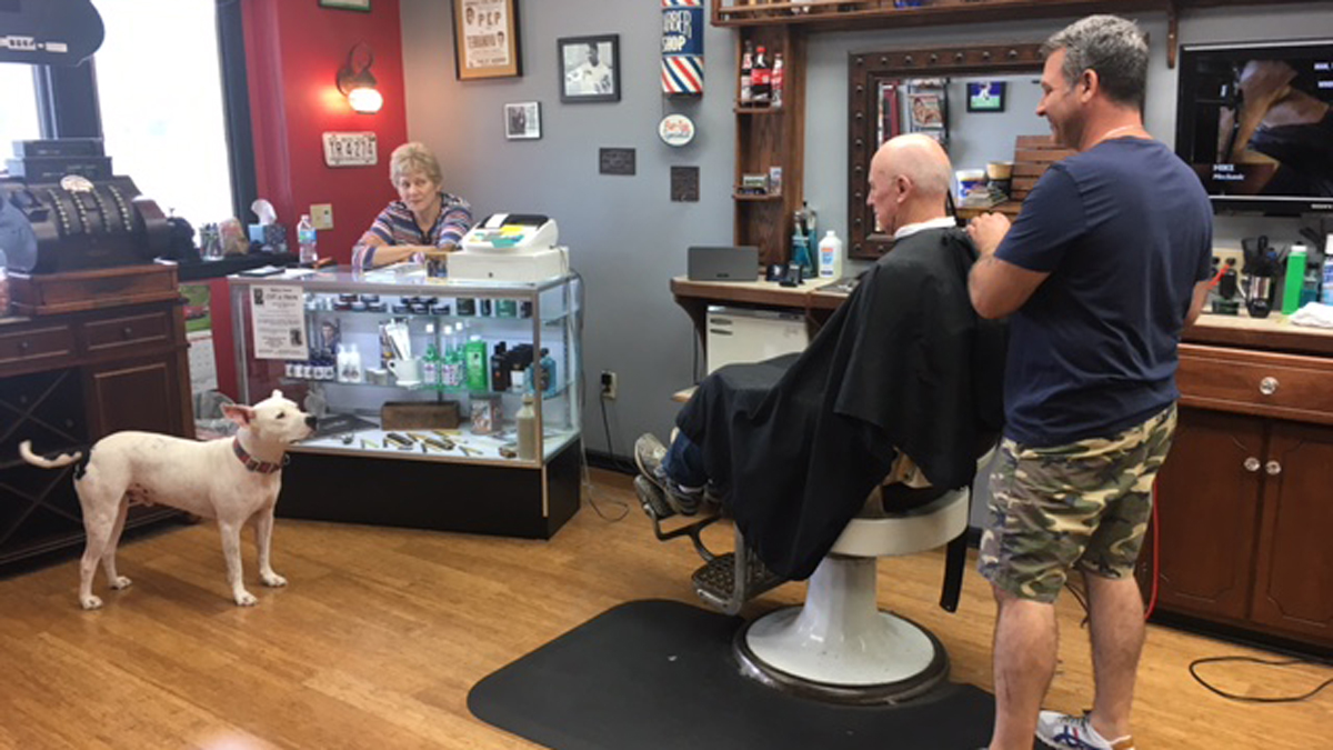 Success Story: Teddy the Barbershop Dog – NBC Connecticut