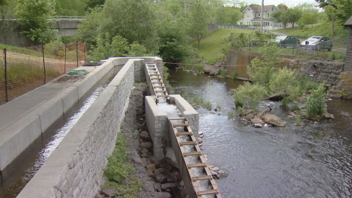 New Fishway in North Branford Making Way for A Better Ecosystem – NBC ...