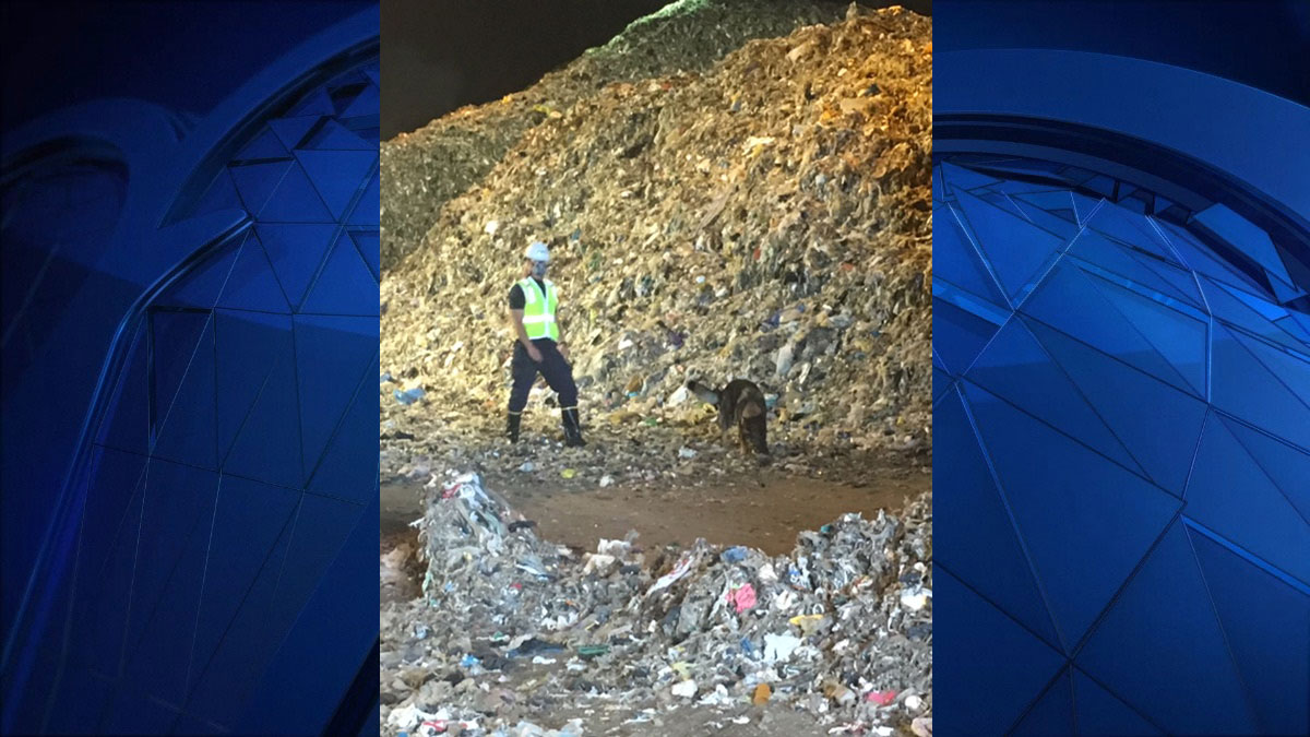 State Police Release Footage From Inside Hartford Trash Facility In