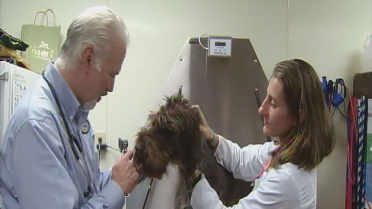 DPH to Not Pay for Rabies Testing When Wild Animals Not Exposed to ...