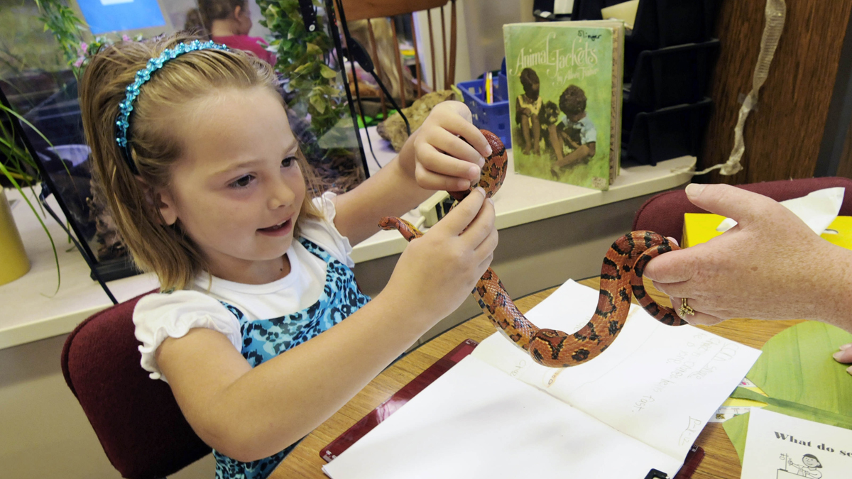 9 Animals You Didn’t Know You Could Adopt – NBC Connecticut