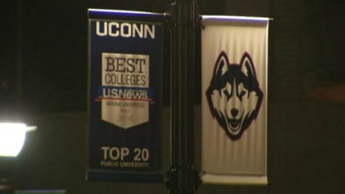 Four sheep die after UConn barn fire – NBC Connecticut