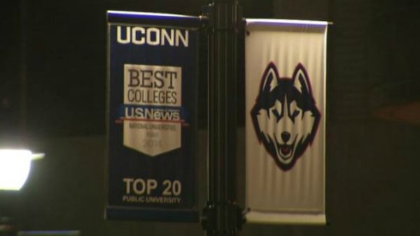Four sheep die after UConn barn fire – NBC Connecticut