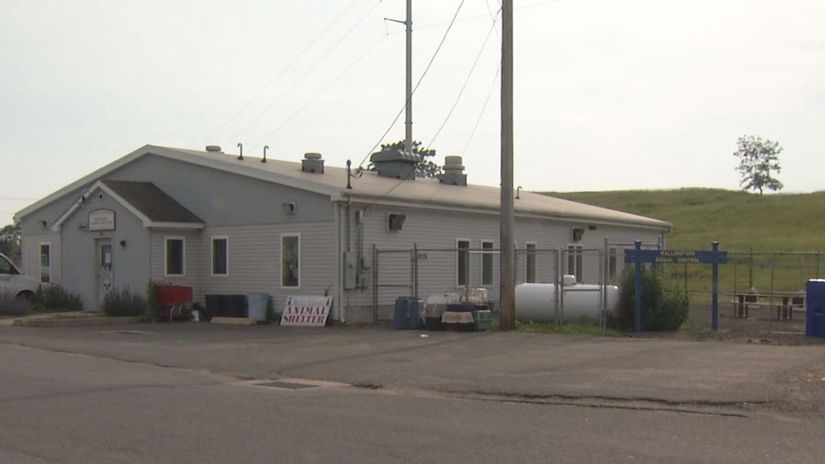 Former Wallingford animal control officer accused of mistreating animals on the job – NBC ...