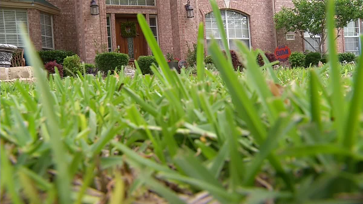 State worker critically hurt in accident at Southbury Training School ...