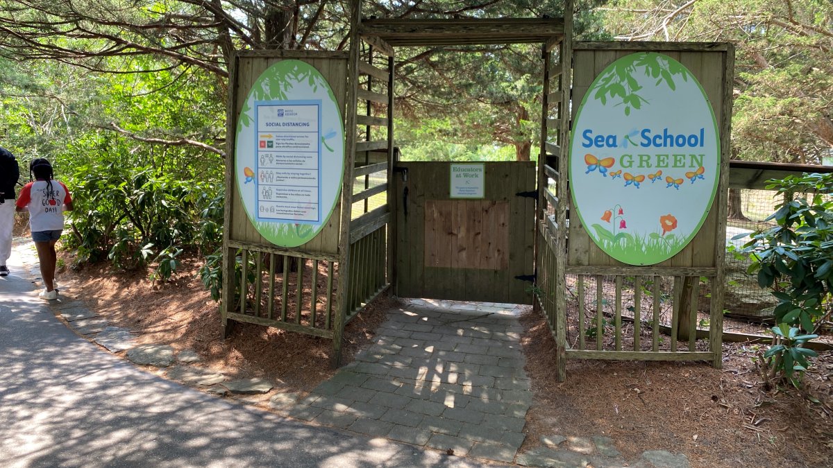 Back To School in Hybrid Model? Mystic Aquarium, YMCA Offering Full-Day ...