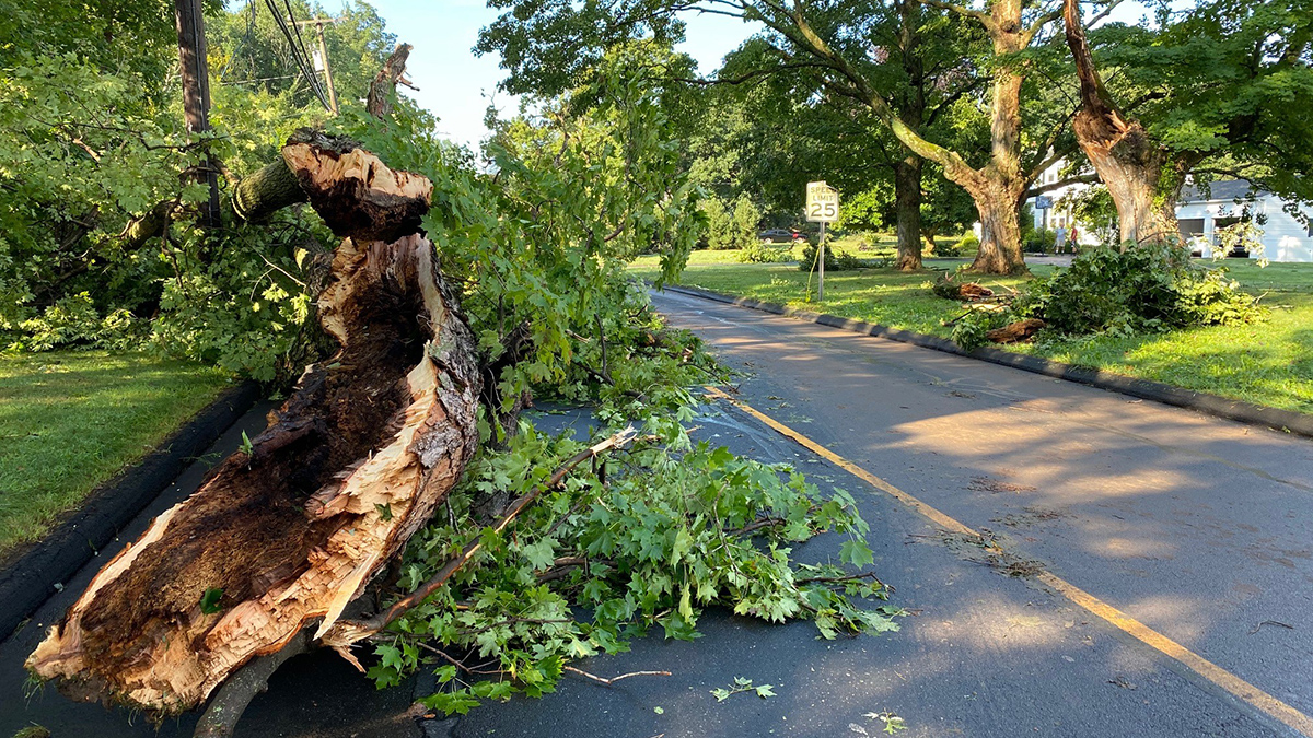 Power Companies Provide Estimates on Power Restoration After Storms ...