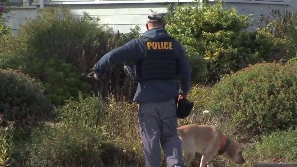 21 Year Old Man Killed In Hartford Shooting Nbc Connecticut