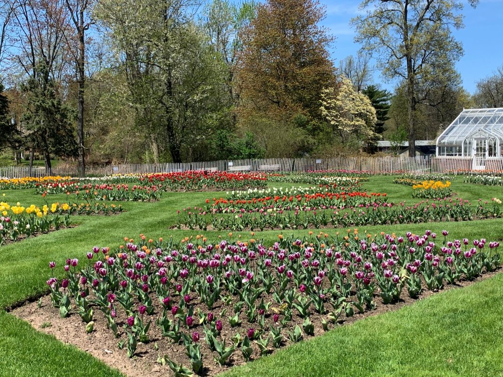 Here’s Your Guide to Spring 2021 in Connecticut – NBC Connecticut