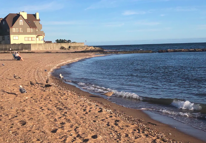 Residents on Conn. Shoreline Warned of Illness Caused by Bacteria in ...