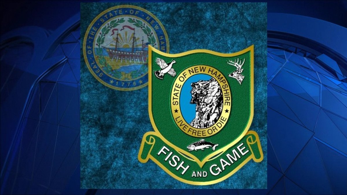 NH avalanche: Ice climbers rescued from Franconia State Park – NBC ...