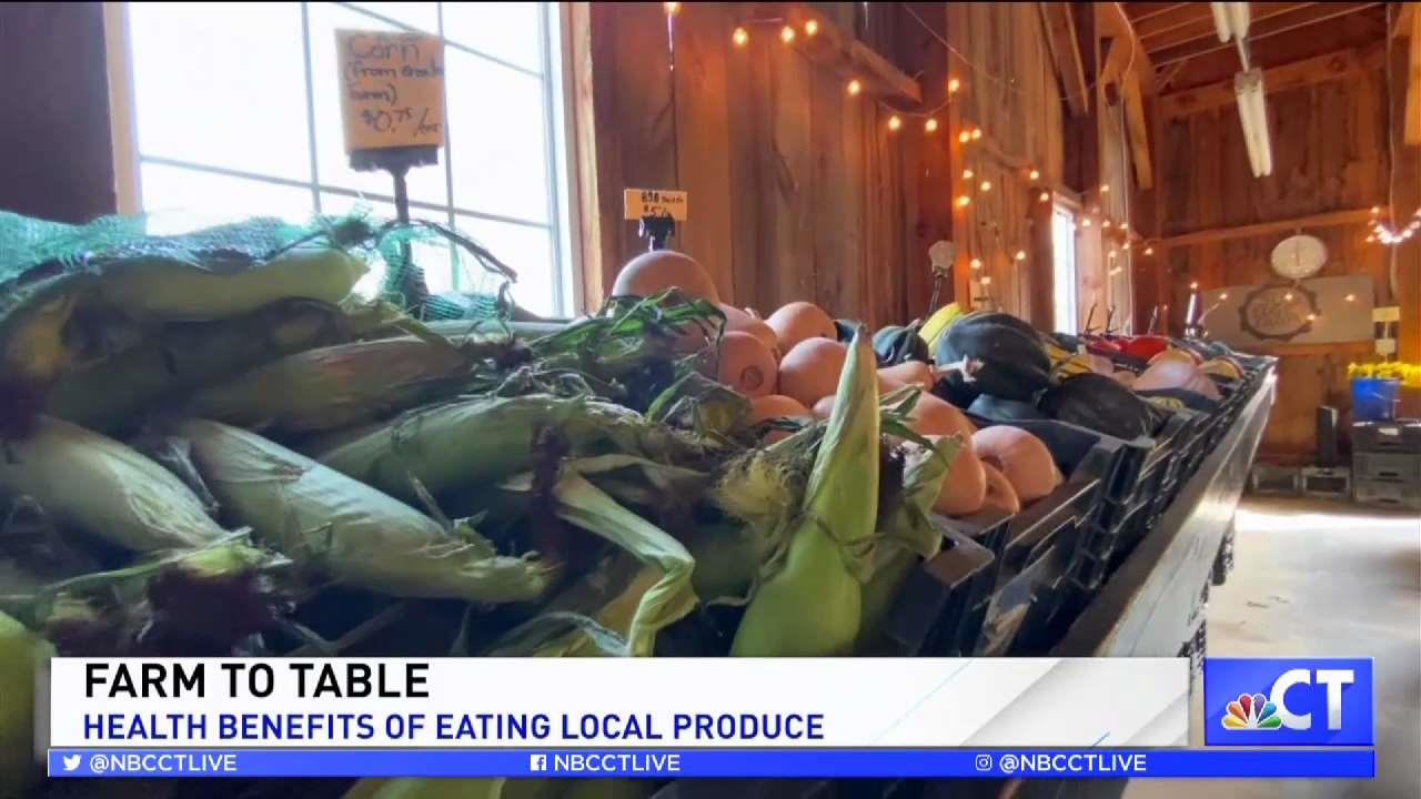 CT LIVE!: Sub Edge Farm – NBC Connecticut