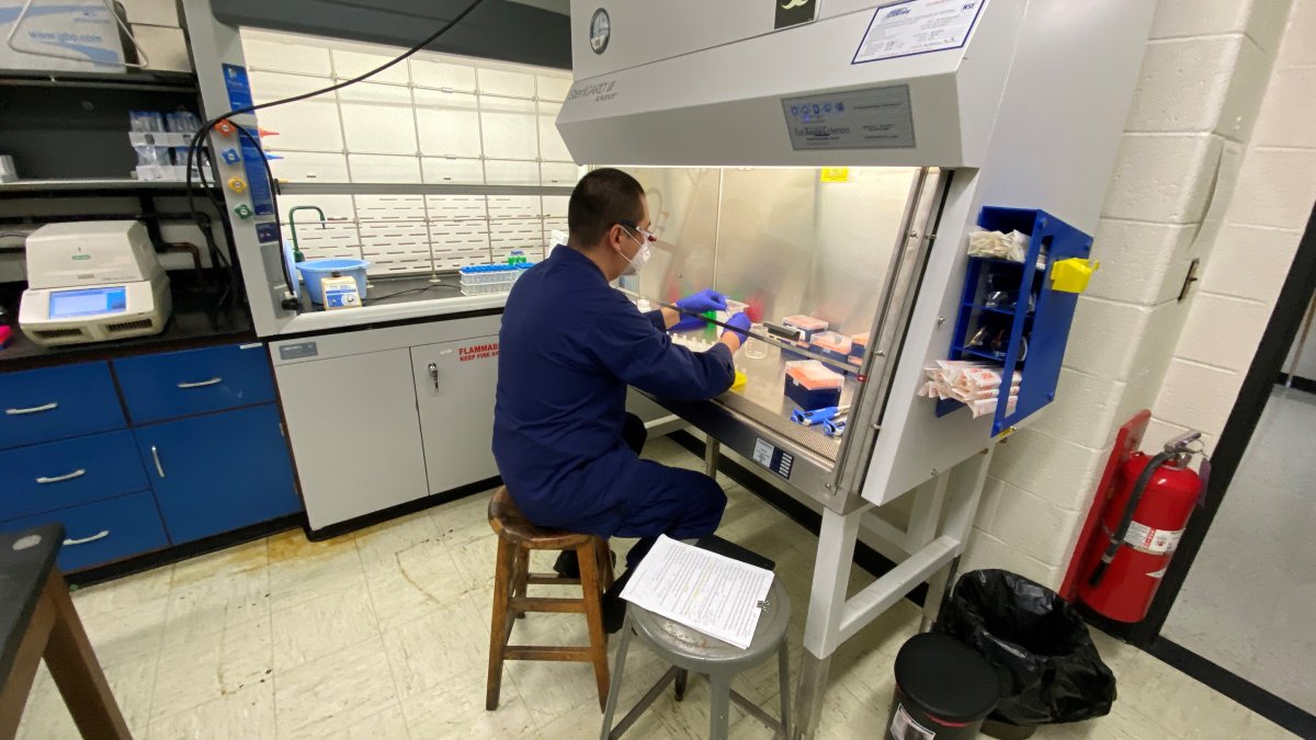 How Testing Helped Slow the Spread at Two New London Schools – NBC ...