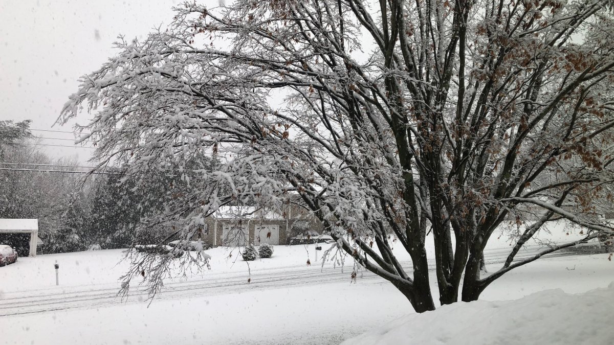 FIRST ALERT: Snow Knocks Out Power to Thousands in Conn. as Storm ...