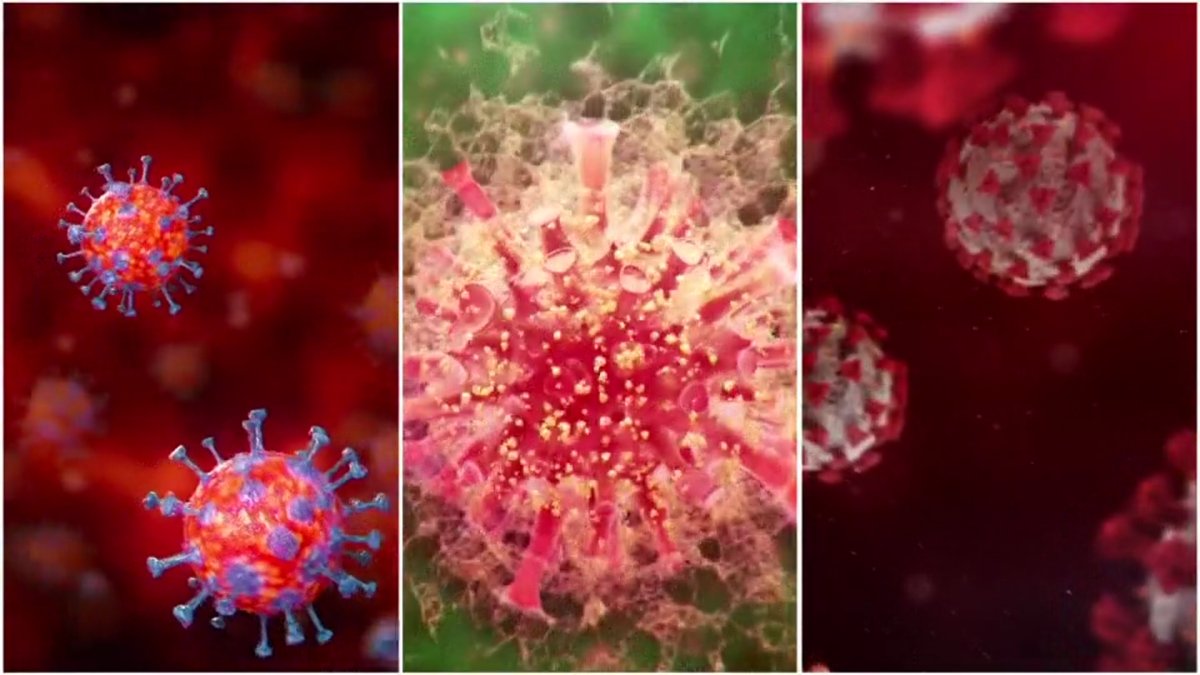 Tracking COVID: Federal Government Releases New Data on Pandemic ...