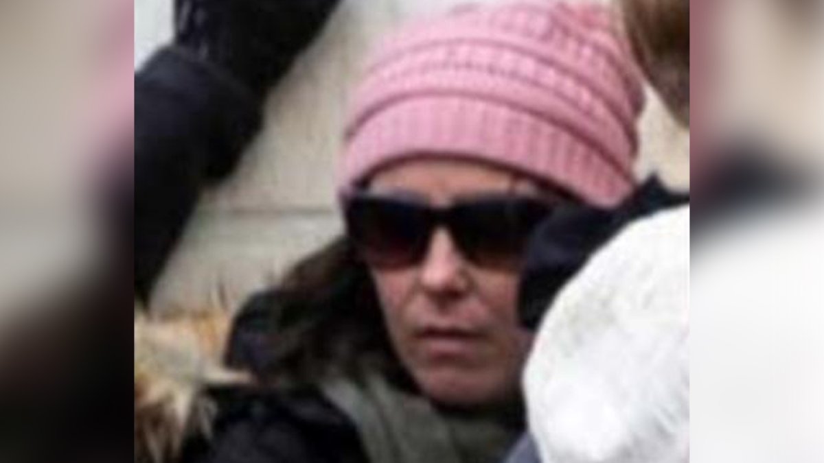 Feds Arrest, Charge Woman in Pink Hat During Capitol Attack – NBC ...