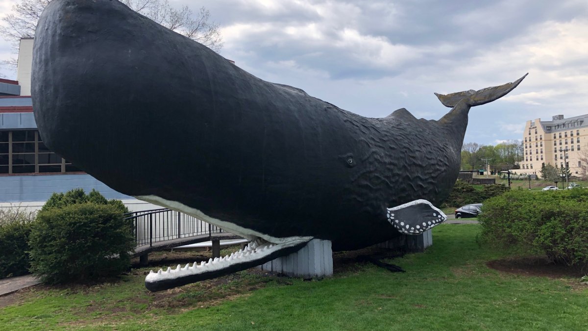 Children’s Museum Vows Iconic Whale Will Make Move With Them to New ...