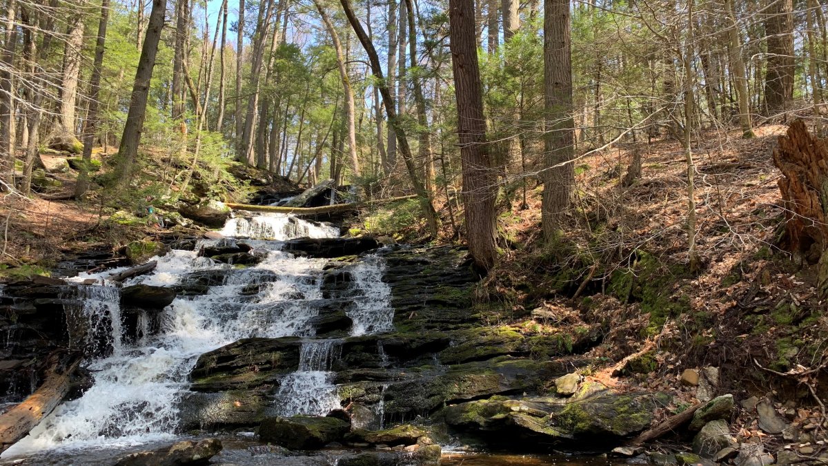The ‘Sky’s the Limit’ When It Comes to Exploring State Parks – NBC ...