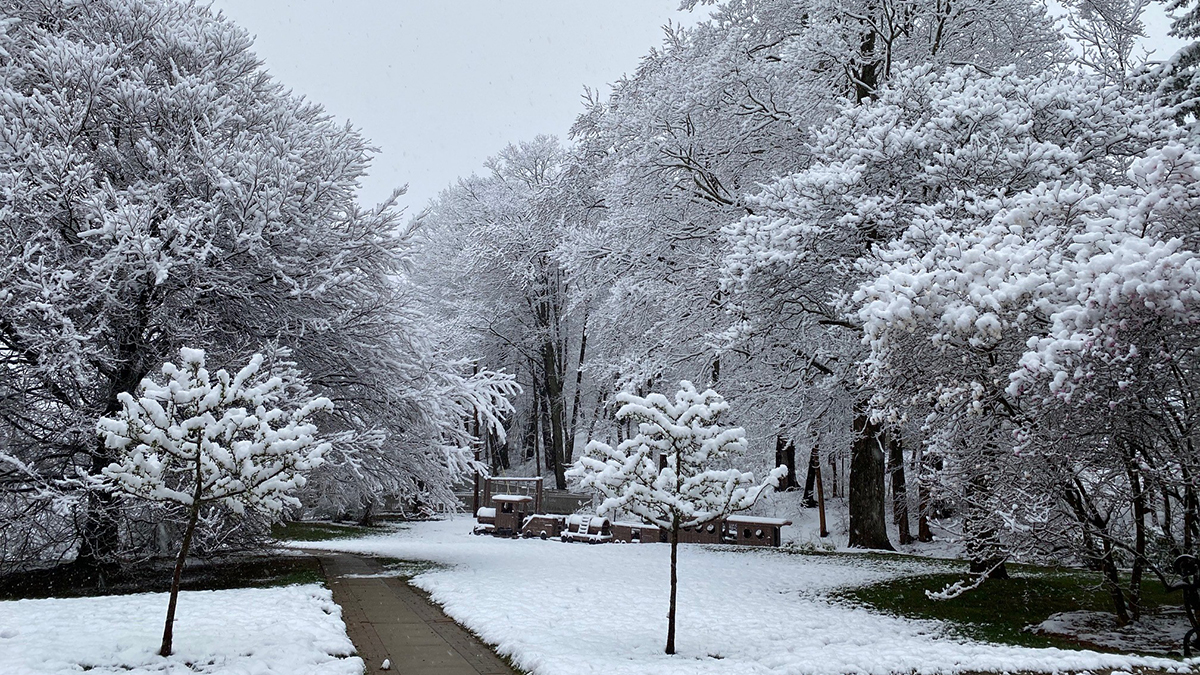 April Snow in CT: How Common is it? – NBC Connecticut