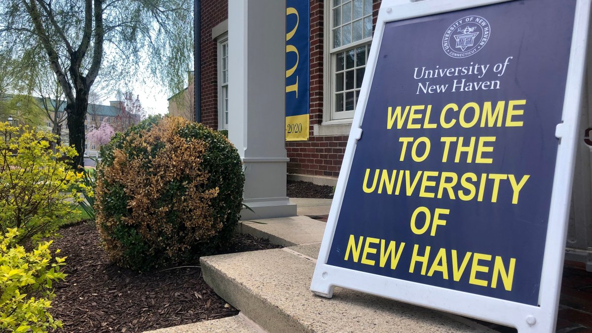 Unh Courses Fall 2024 - Jolie Madelyn Unh Courses Fall 2024 - Jolie Madelyn