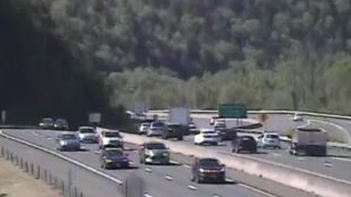Crash Closes Route 8 South in Naugatuck – NBC Connecticut