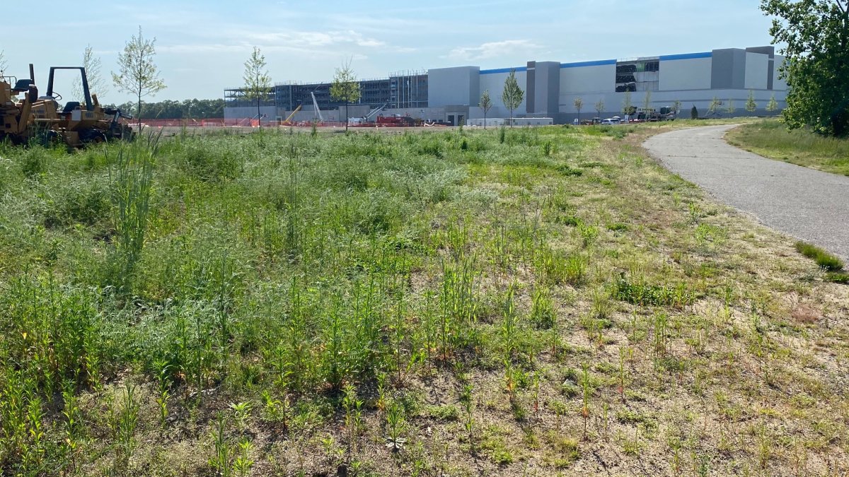 Amazon Closes Construction Site in Windsor After Nooses Found – NBC ...