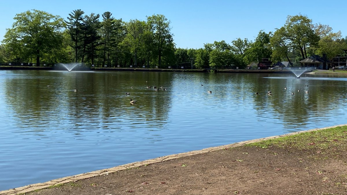 Spring Temperatures Return Through Weekend – NBC Connecticut