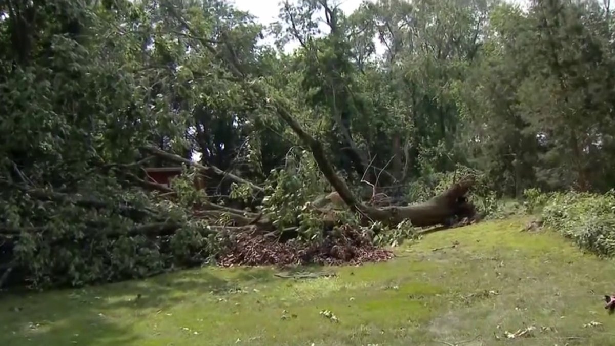 South Windsor Cleans Up From Tuesday Night’s Storms – NBC Connecticut
