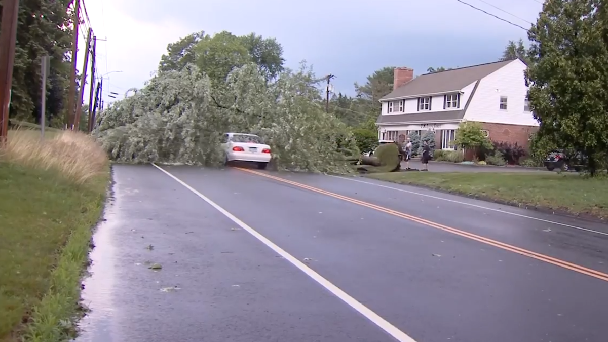 WATCH: Car Crashes Into Tree in Middle of Road – NBC Connecticut