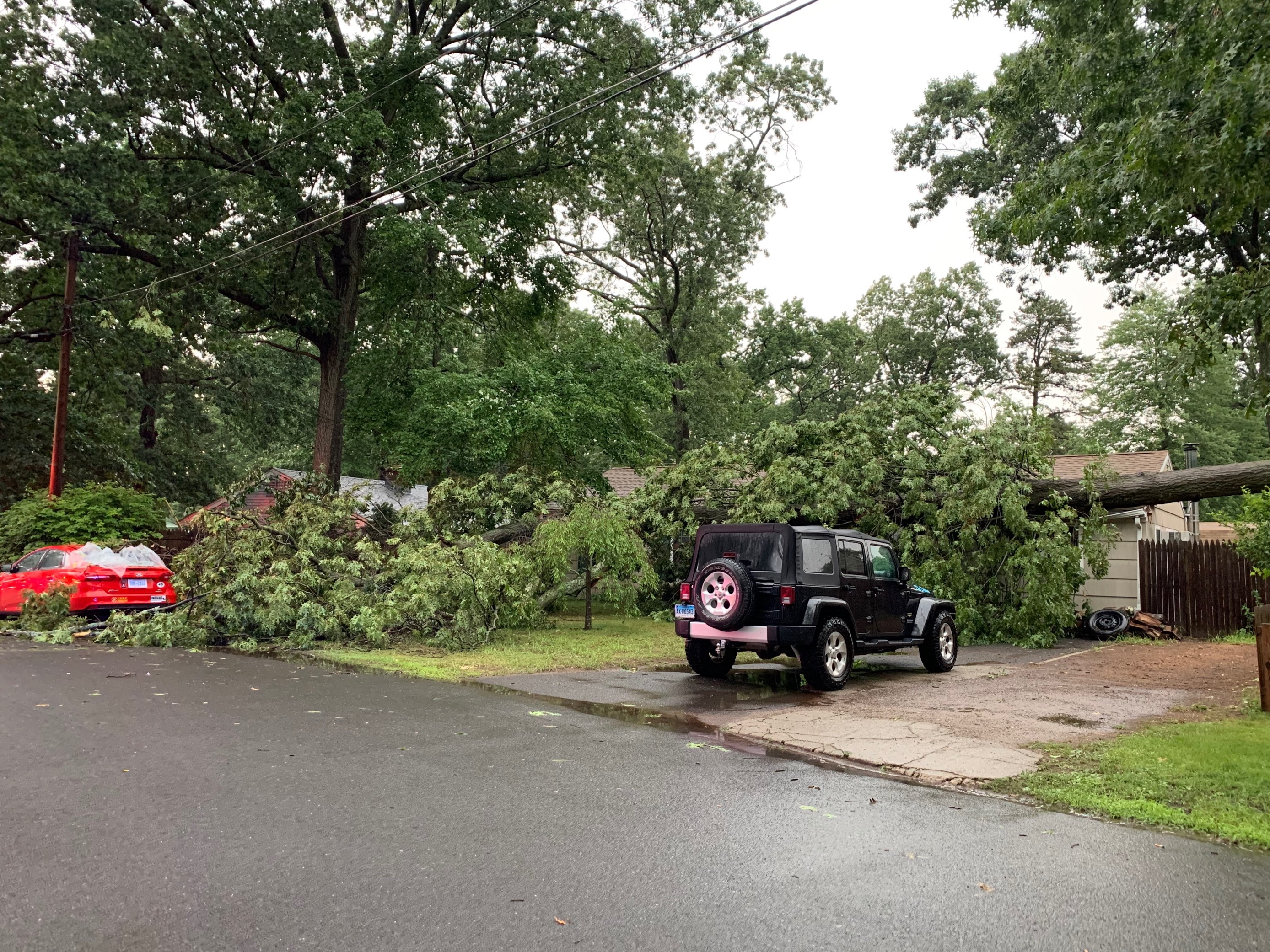 Power Outages, Tree Damage After Severe Storms Move Through State – NBC ...