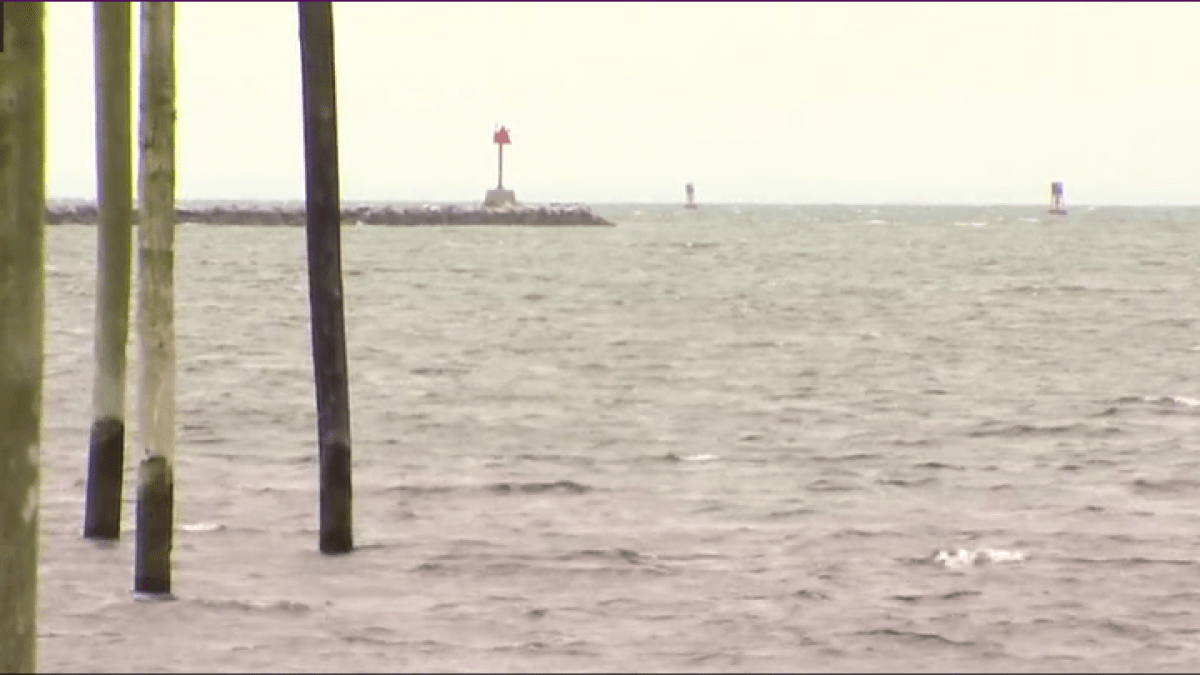 New Regional Partnership Will Protect Ecosystems as Offshore Wind Farms ...
