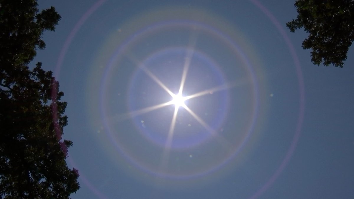 Beat the heat: tips for staying safe in hot temperatures – NBC Connecticut