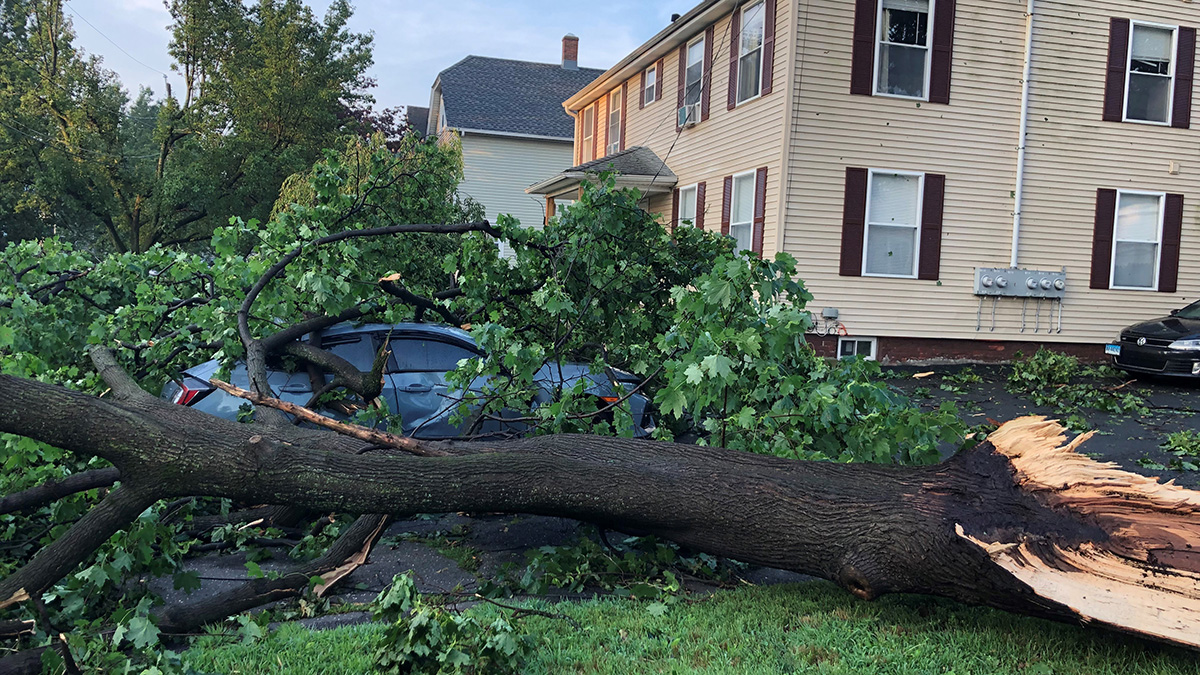 Storms Brought Trees Down, Knocked Out Power in Enfield – NBC Connecticut