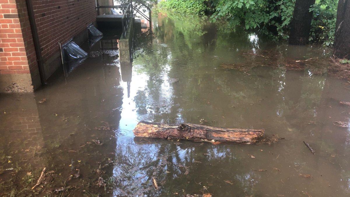 Remnants of Tropical Storm Dump Heavy Rain Around the State – NBC ...