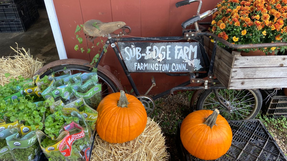 CT Farms Still Struggling With Weather, Pandemic Impacts as Feds ...