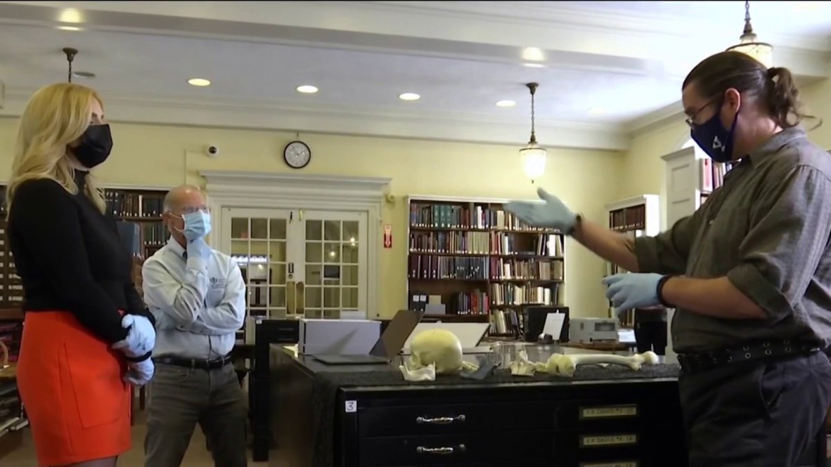 CT LIVE!: Forensic Analysis Performed on Bones Found Under New Haven ...