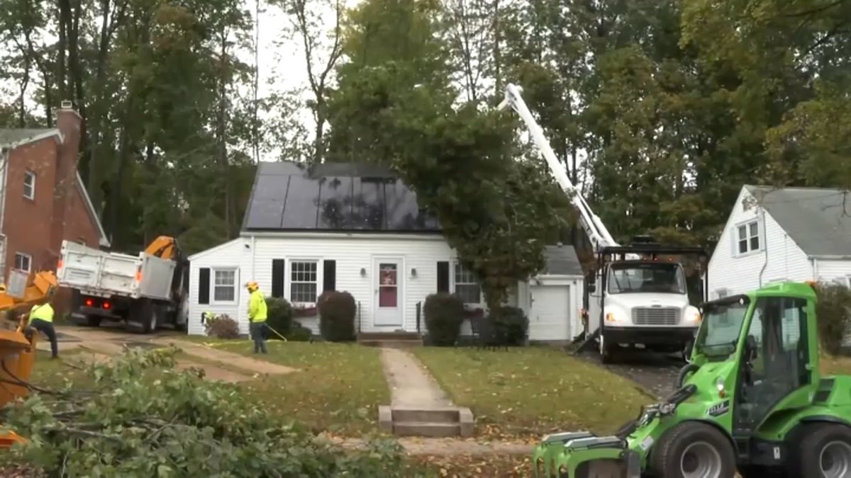 High Winds Knock Out Power Around The State – NBC Connecticut