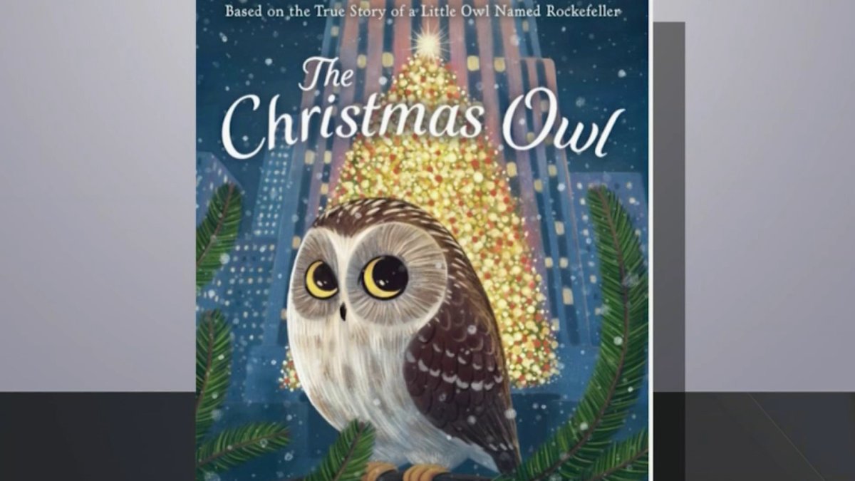 Rockefeller Christmas Tree Stowaway Owl Inspires New Children’s Book ...