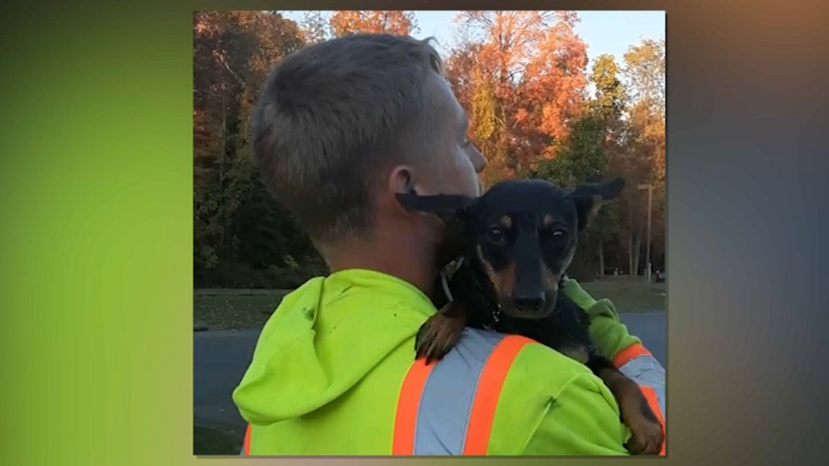 Man Rushes Into River to Save Dog – NBC Connecticut