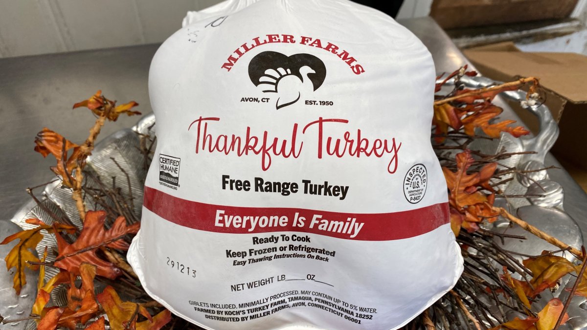 Avon Farm Facilitating Turkey Donations to Connecticut Foodshare – NBC ...