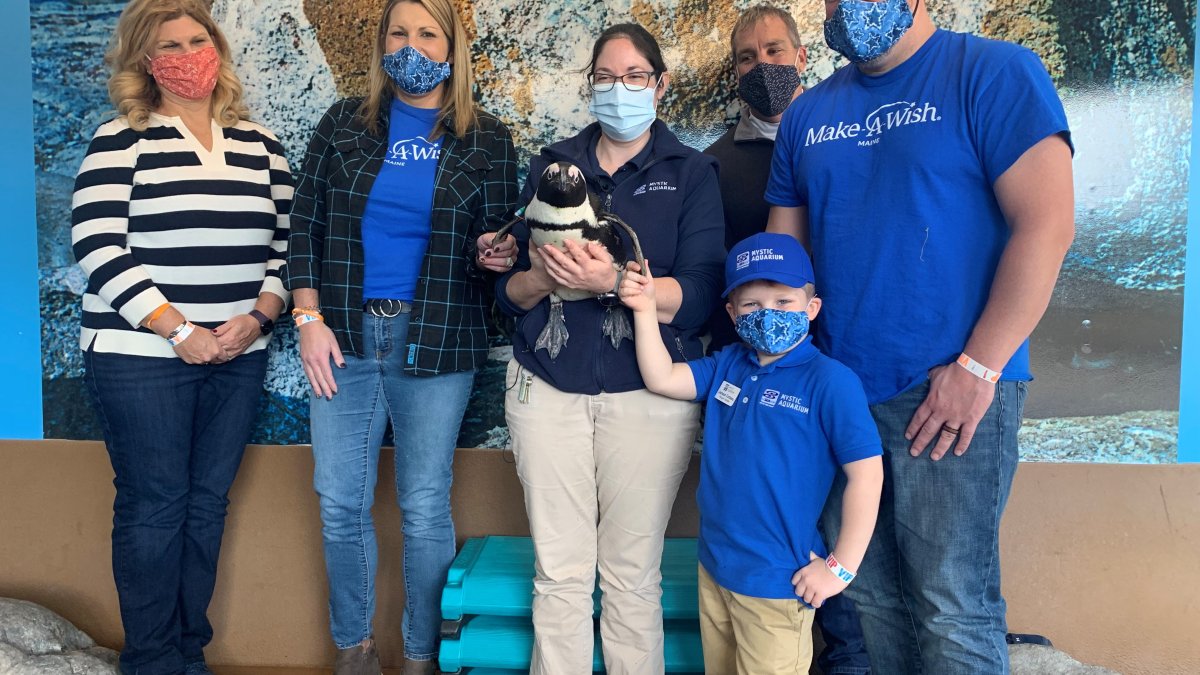 Make-A-Wish Makes Dream Come True for Young Penguin Fan – NBC Connecticut