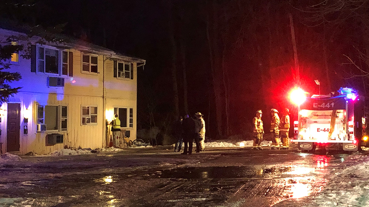 Pets Died in Vernon Fire: Officials – NBC Connecticut